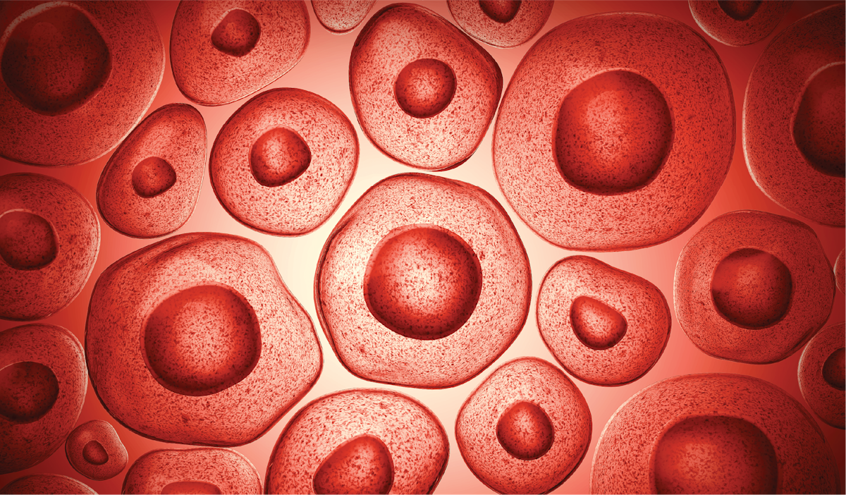 Pediatric Brain Tumor Classification And Segmentation Using Transfer Learning From Adult