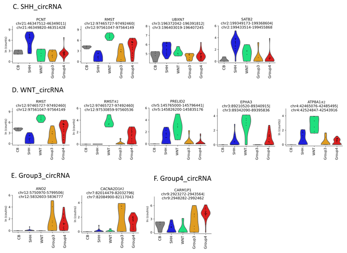 Circular and Fusion RNAs in Medulloblastoma Development | Children's ...