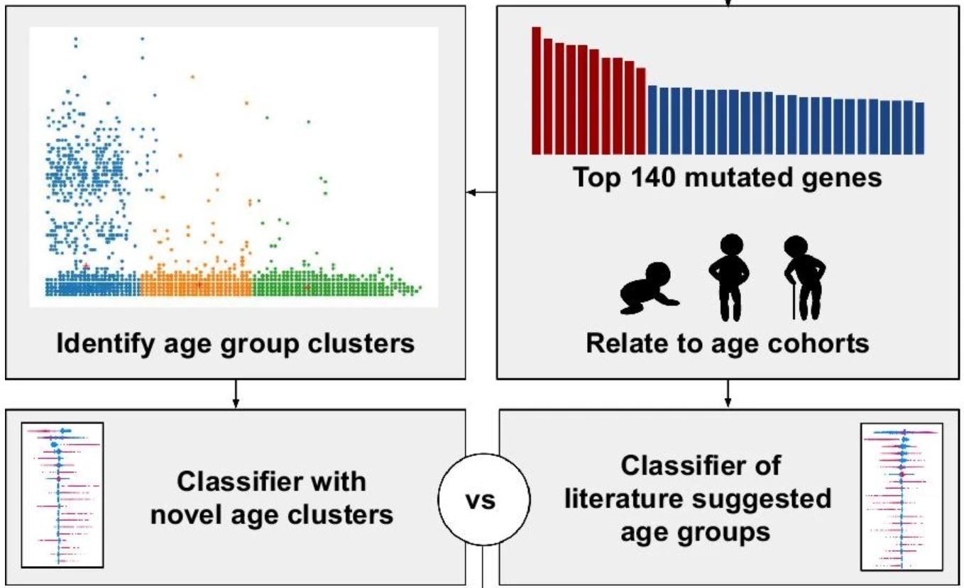 Mutation-based clustering and classification analysis reveals ...