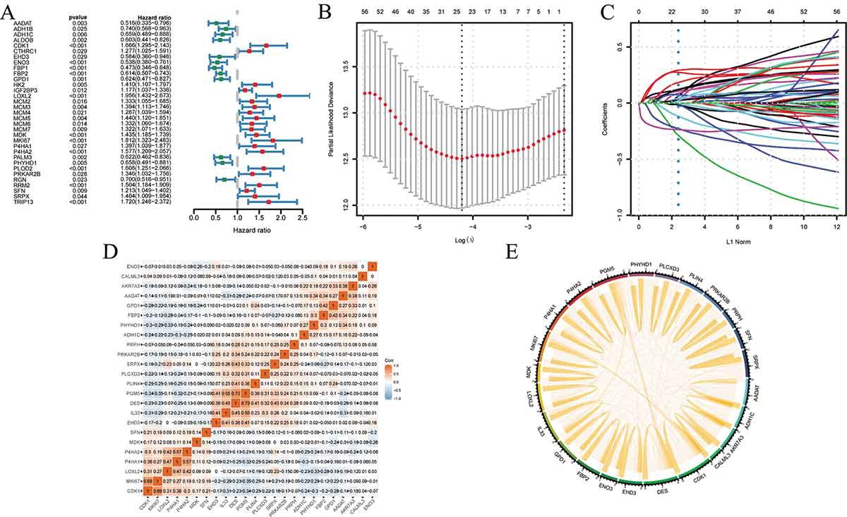 Development of Cancer Prognostic Signature Based on Pan-Cancer ...